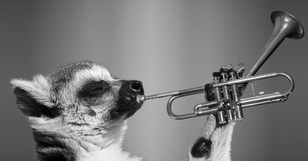 The 10 Best Musical Instruments for Beginners