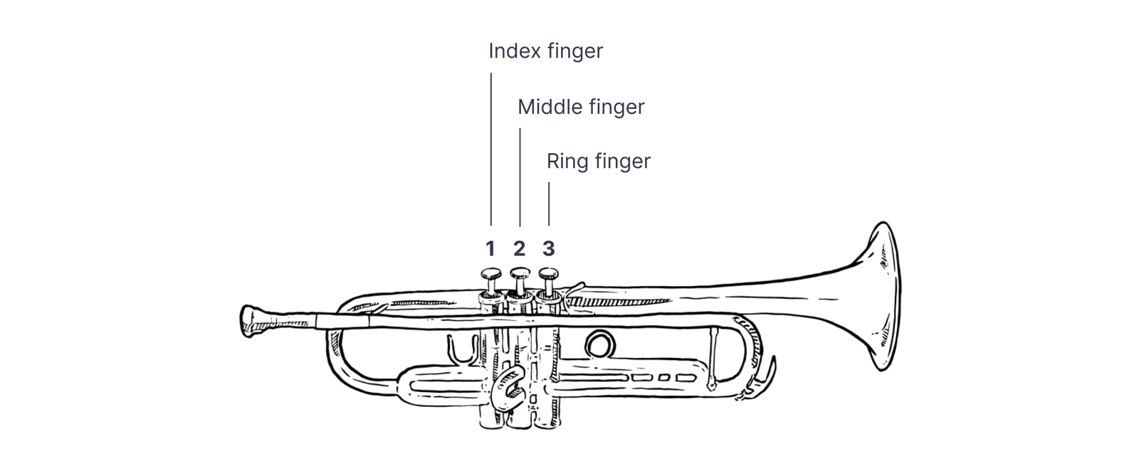 Trumpet Fingering: Charts and Tips for Learning